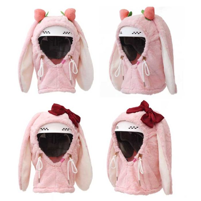 Cute Balaclava Face Warmer for Winter Sports Ski Snowboard - RegisBox