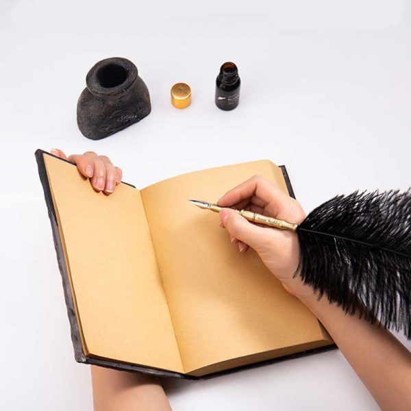 Medieval Feather Pen Set Antique Quill Stationery Calligraphy Gift ...