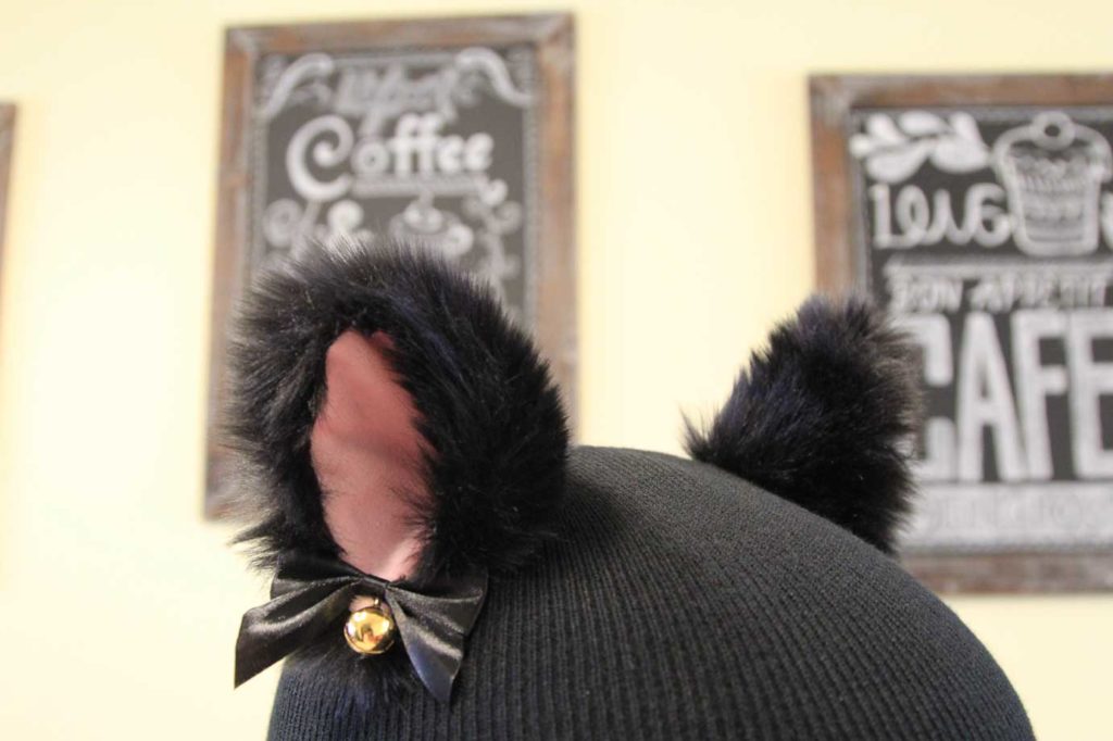 Helmet Rizz: Cute Snowboard Helmet Cover Cat Ears Ski Helmet Covers ...