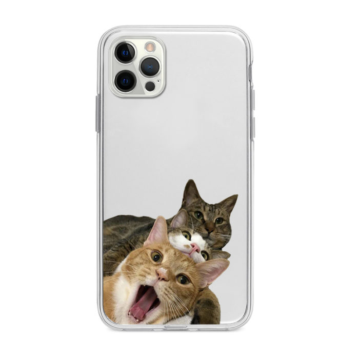 Funny Cat Phone Case Tabby Cats IPhone Cases - RegisBox